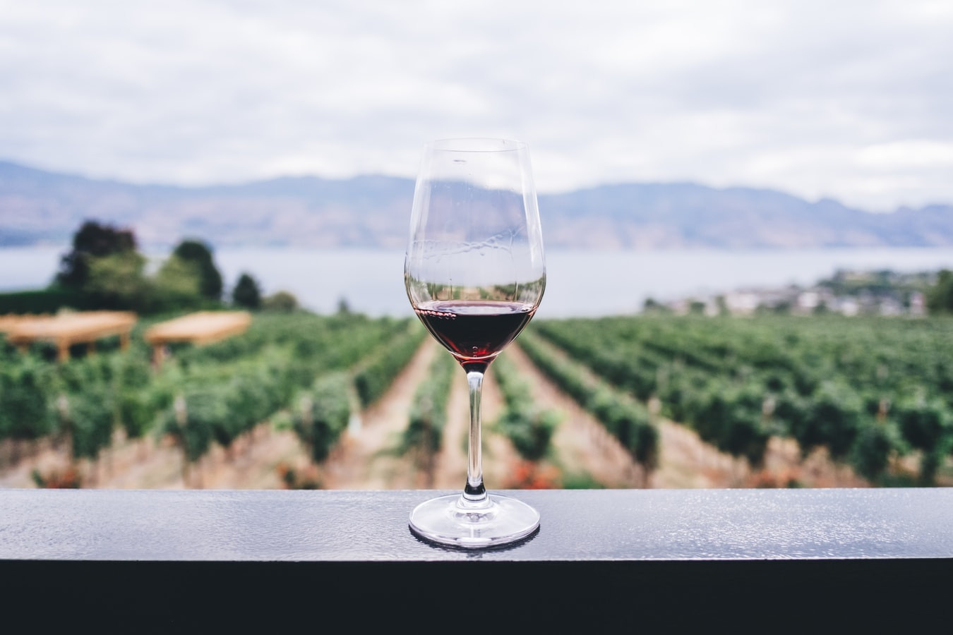 Top 7 Wine Road Trips in the US › WorldWideWendy